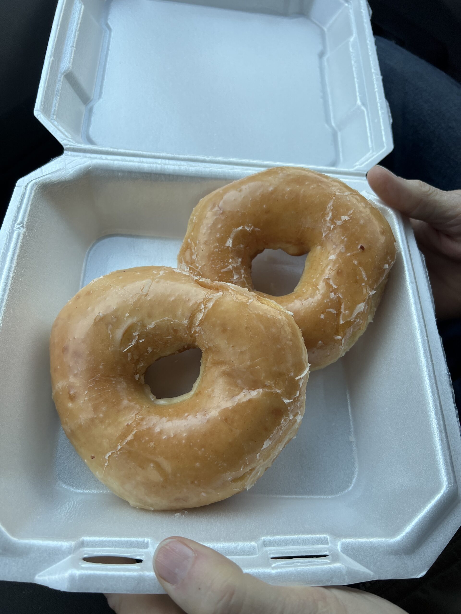 The Best Doughnuts in the Shenandoah Valley: Anita’s Decadent Delights ...
